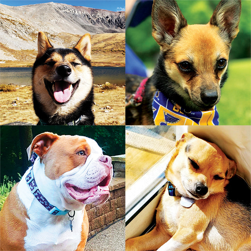 Personalized Beverage Items - Chilled Designs – Chilled-Designs